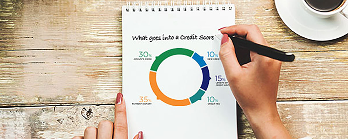 How to Build Credit from Scratch: 4 Things to Know | Global Credit Union
